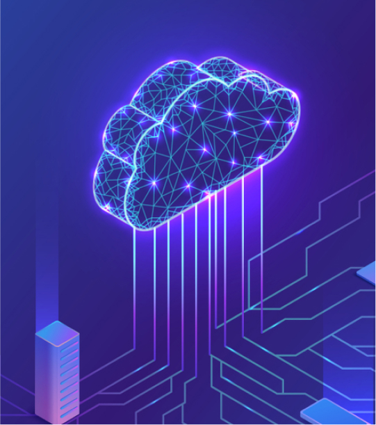 Redberyl Tech Solution